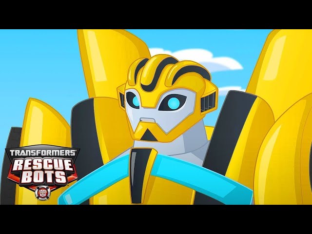 Bumblebee Transformer Face Cartoon