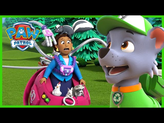Pups Save a Runaway Robo-Chicken Purse - PAW Patrol Episode - Cartoons ...