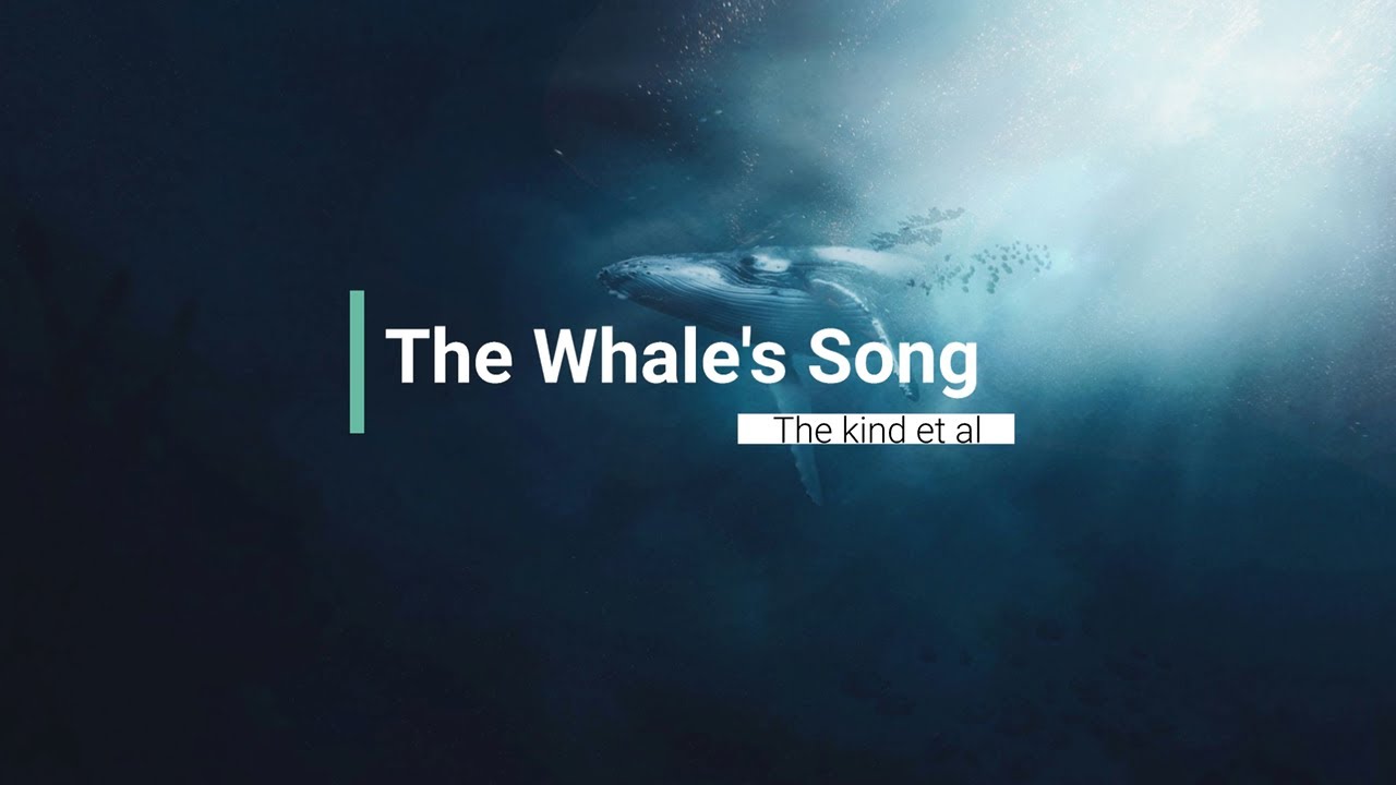 The Whale Song - Calming Bedtime Story for Adults - YouTube