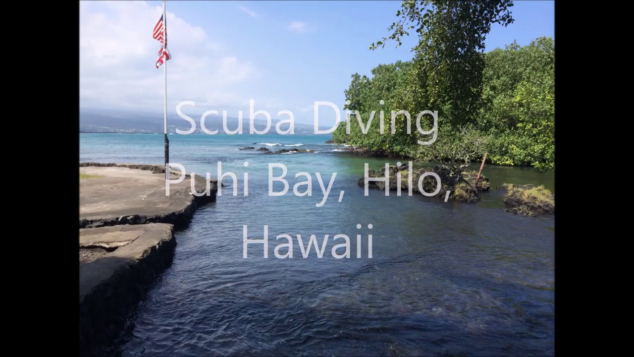 Scuba Diving Puhi Bay, Hilo, Hawaii - YouTube