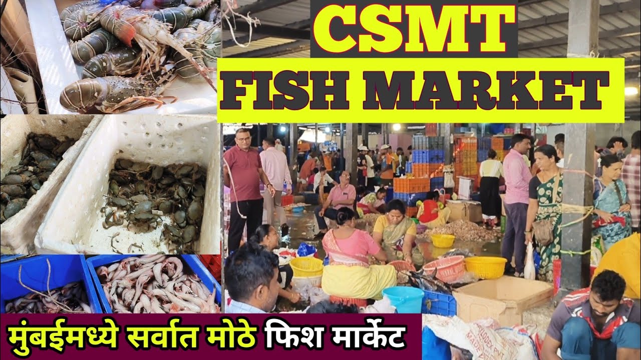 CST. Fish Market Mumbai 🦞🦐🦀🐠 / Wholsale Fish Market CST / Wholesale ...