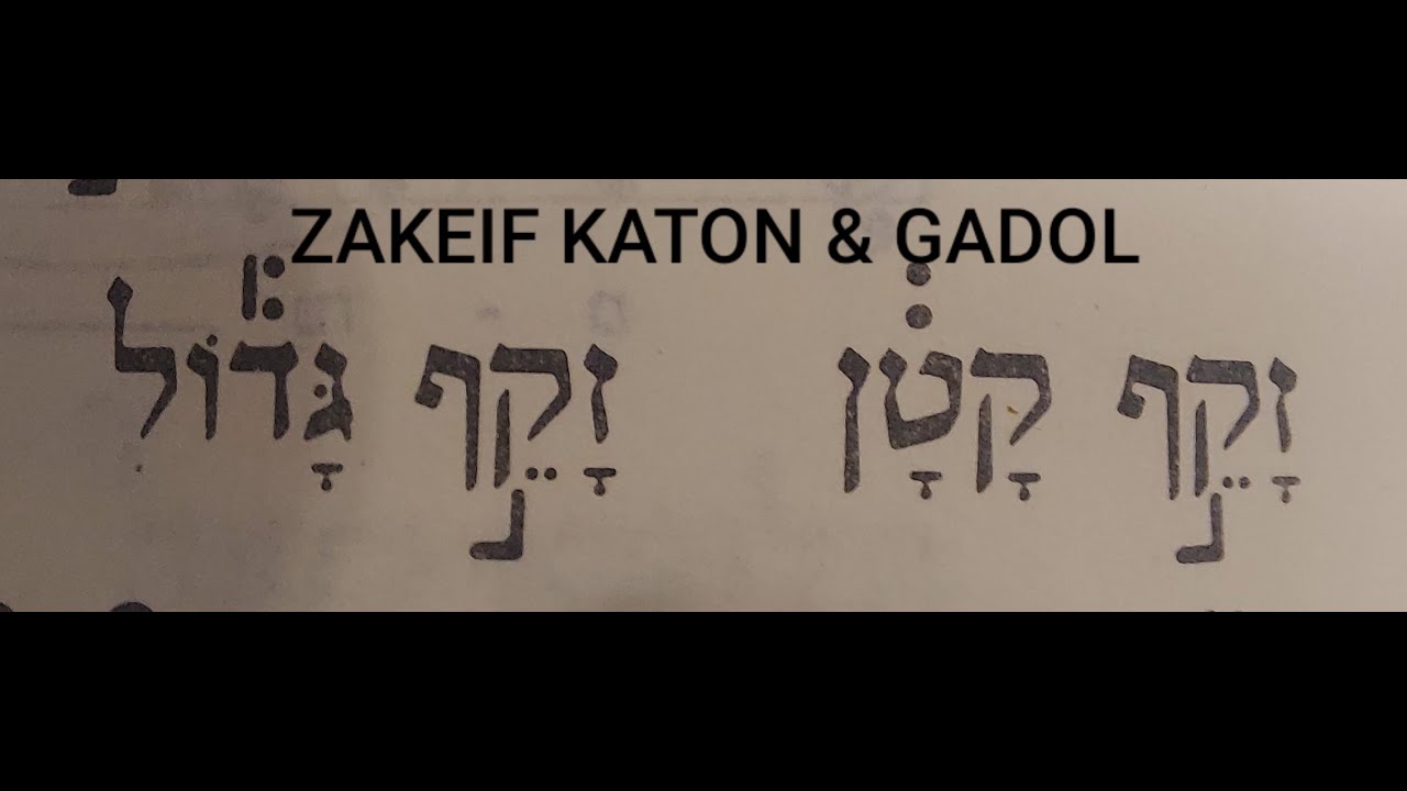 Learn to Chant the Torah, Lesson 5: Mahpach Pahstah, Zakeif Katan ...