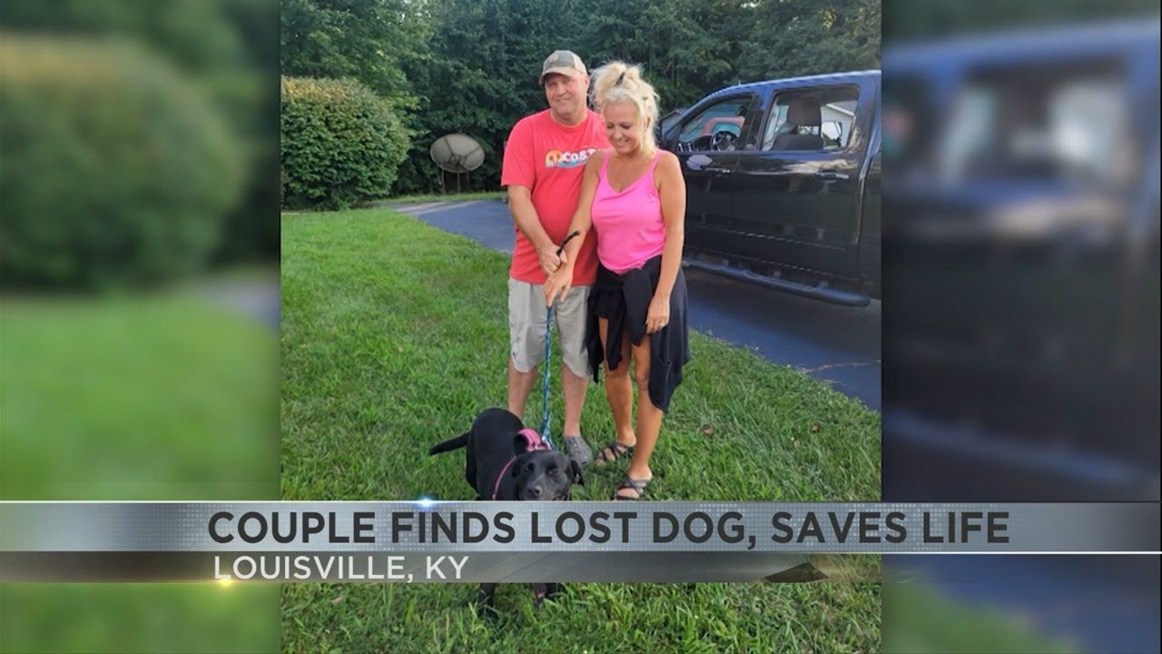 Couple finds lost dog, saves life - YouTube