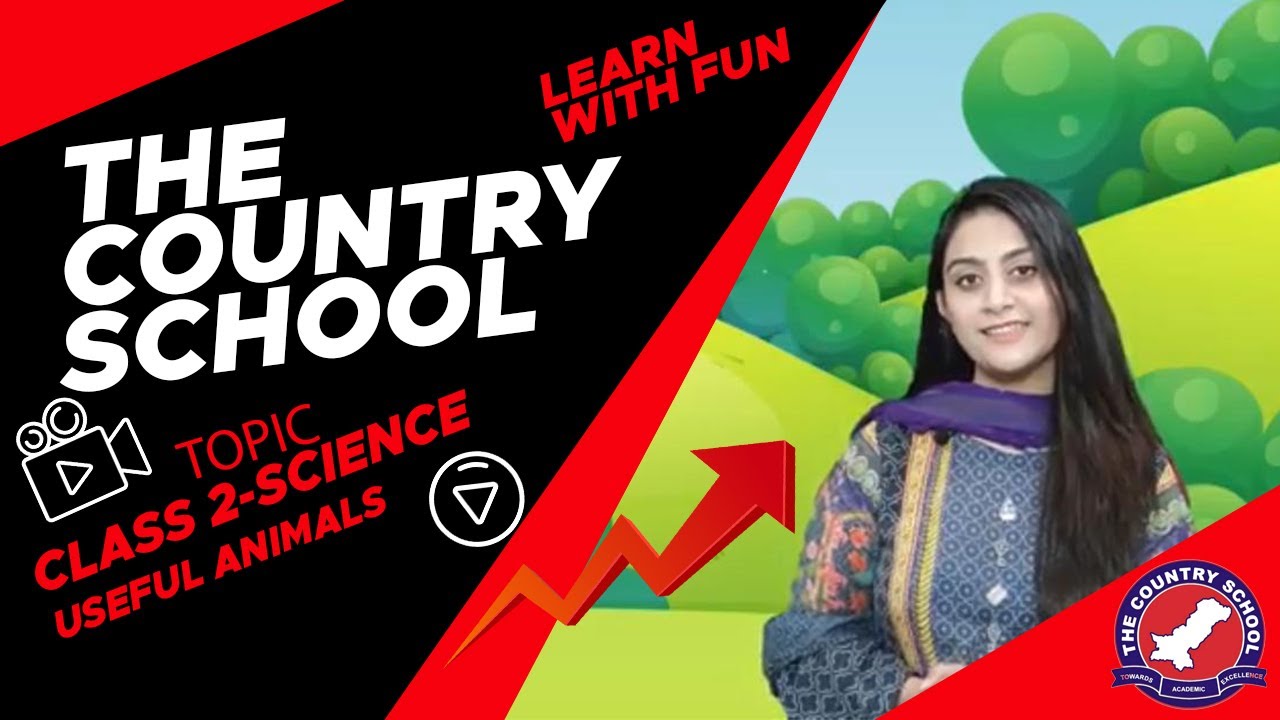 Class 2-Science Useful Animals - YouTube