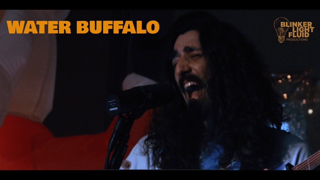 Water Buffalo - The Teacher Live at the Revel House, Clarksville TN ...