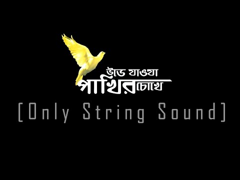 Calm String Sound cut from 'Urey Jawa Pakhir Chokhey' by Ashes | Audio Spectrum