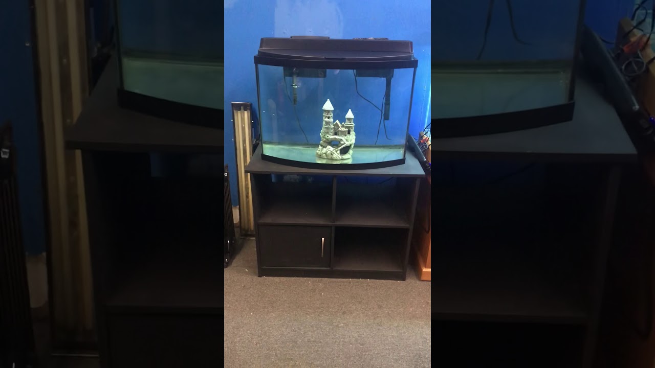 38 gallon Bowfront aquarium fish tank complete $150 - YouTube