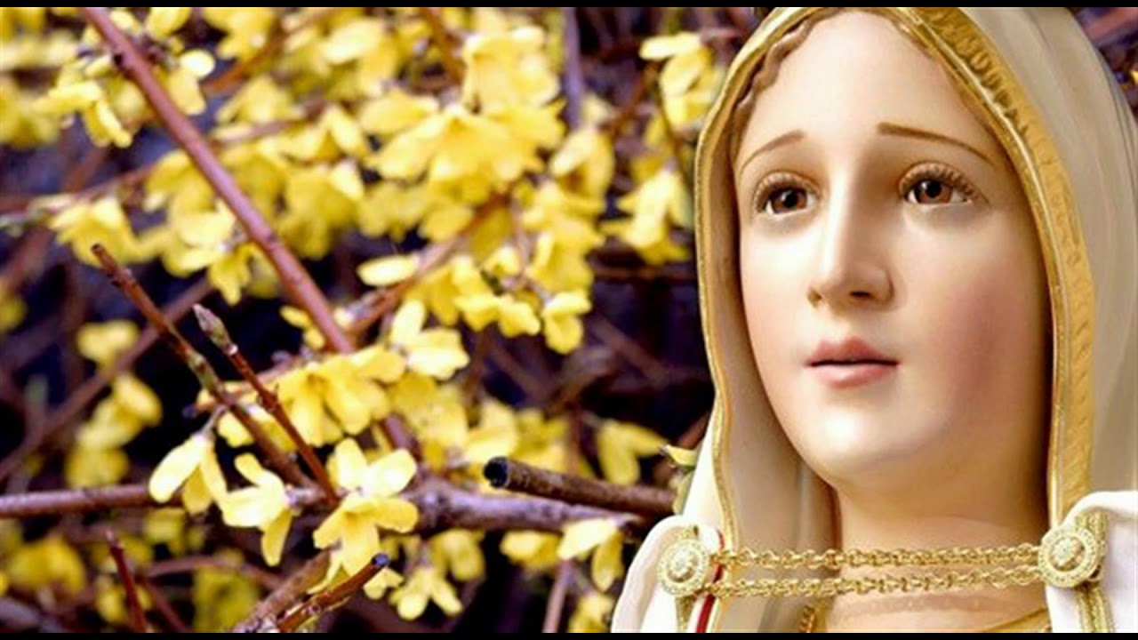 IMACULADA MARIA DE DEUS (MUSICA CATÓLICA DE MISSA) - YouTube