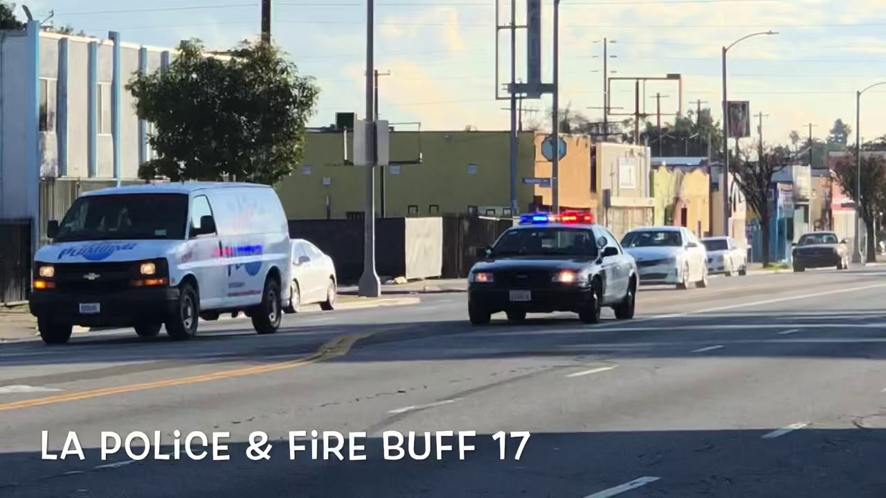 Lapd responding - YouTube
