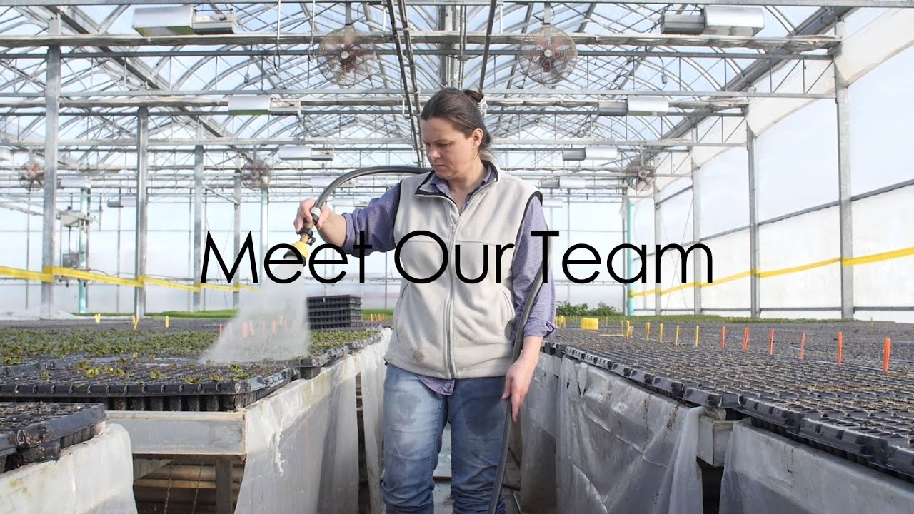 Meet Our Team | Judit Ender - YouTube