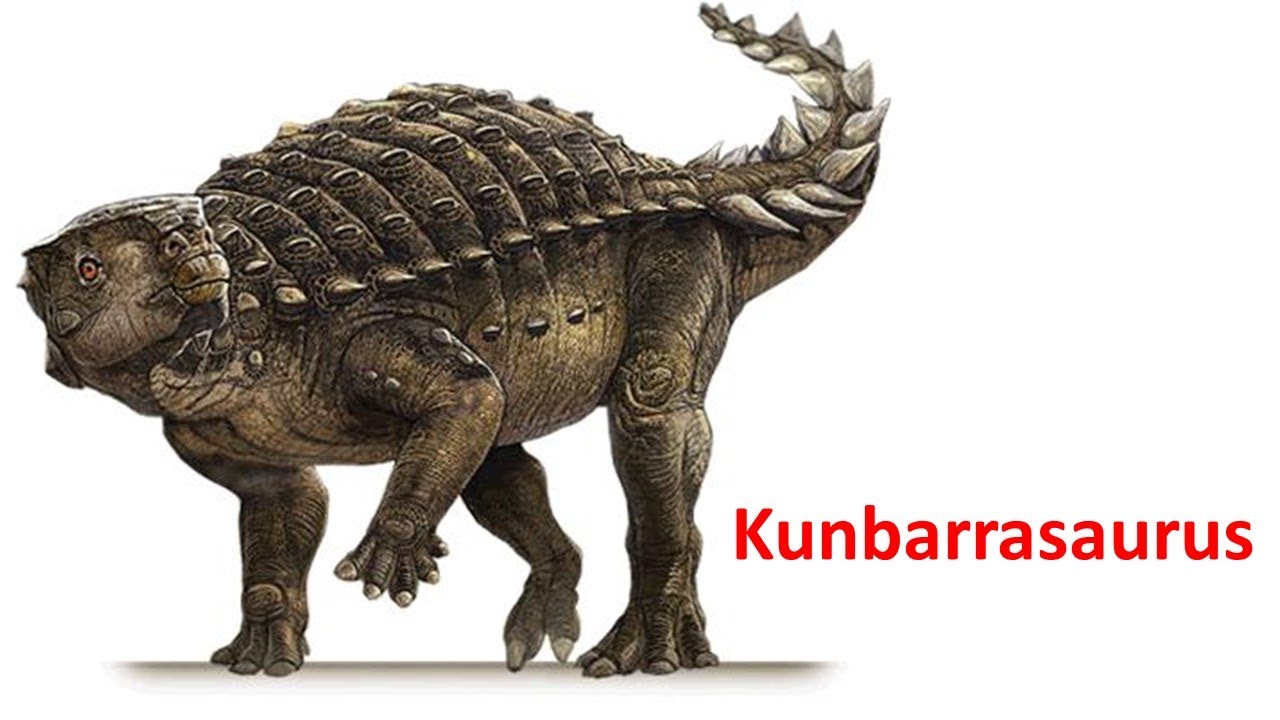 Kunbarrasaurus - YouTube