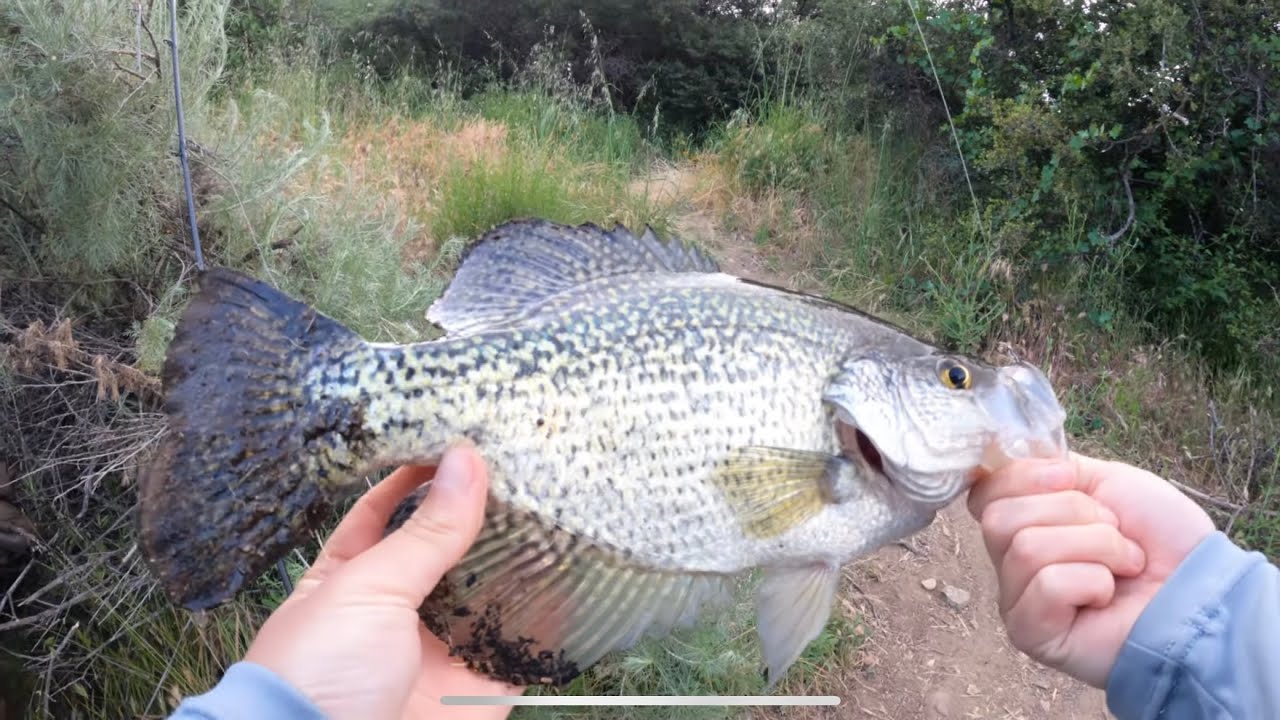 Cachuma Shore Fishing - YouTube