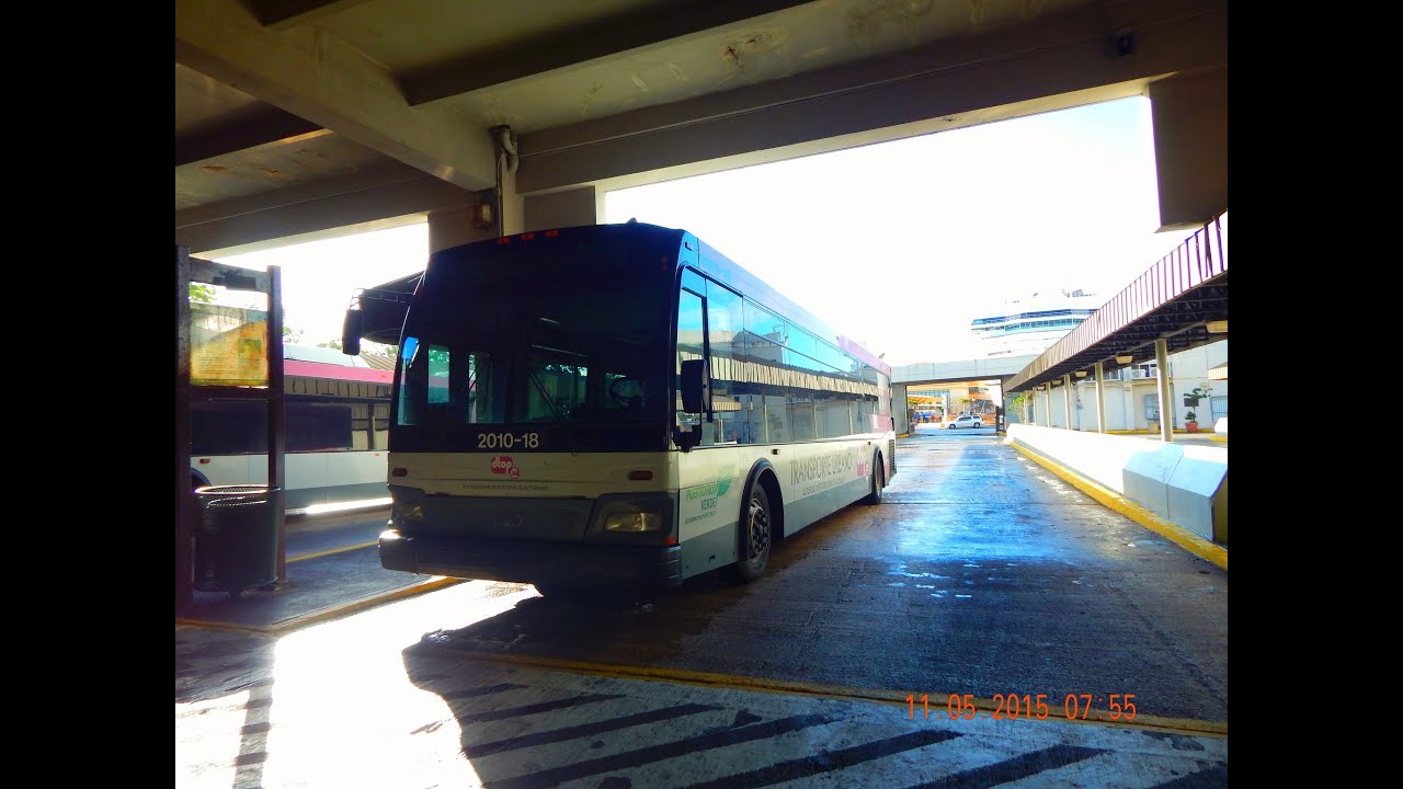 Metropolitan Bus Authority (San Juan, Puerto Rico): 2010 Orion 07.501 ...