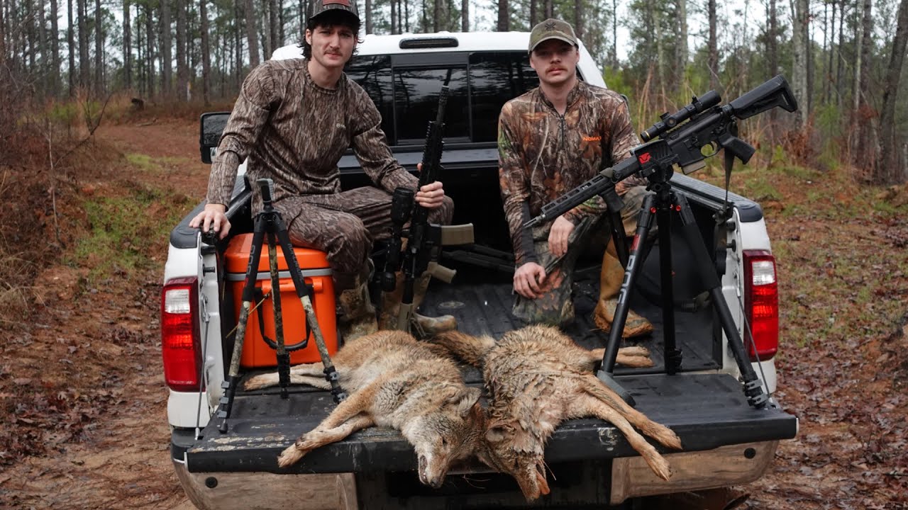 Predator Hunting (Insane Footage!) - YouTube