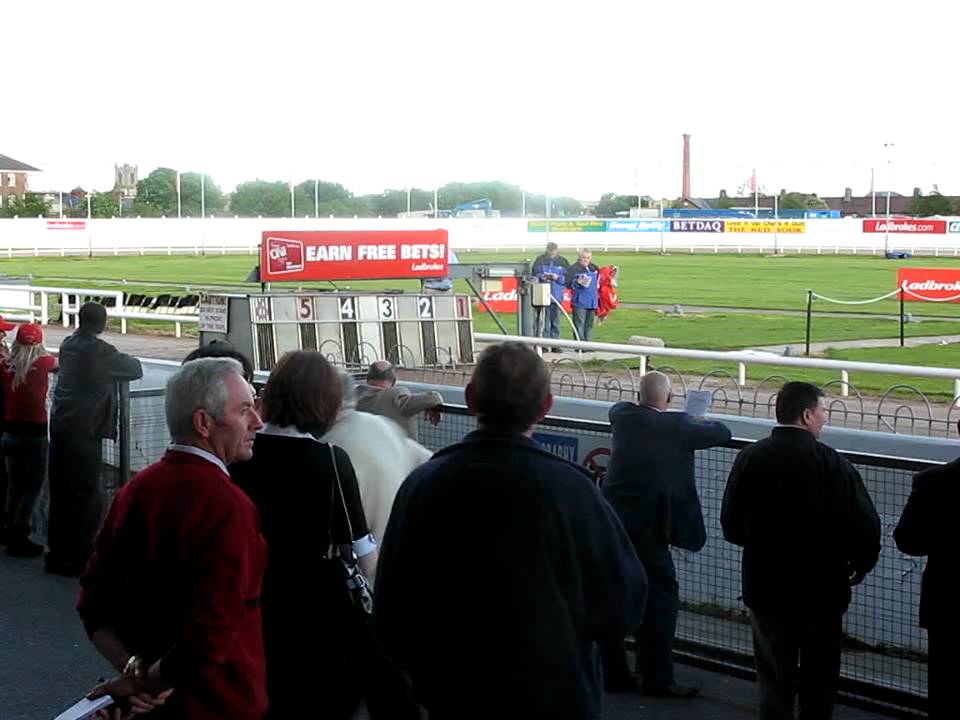 Greyhound Race @ Shelbourne Park, Dublin 23/05/2009 - YouTube