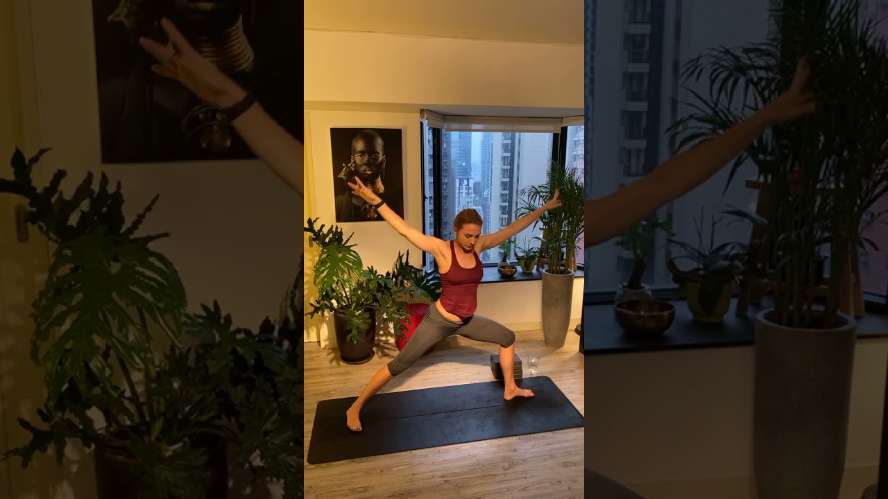 Vinyasa Gentle - Angela Lohse on 30 March [Livestream on Instagram ...