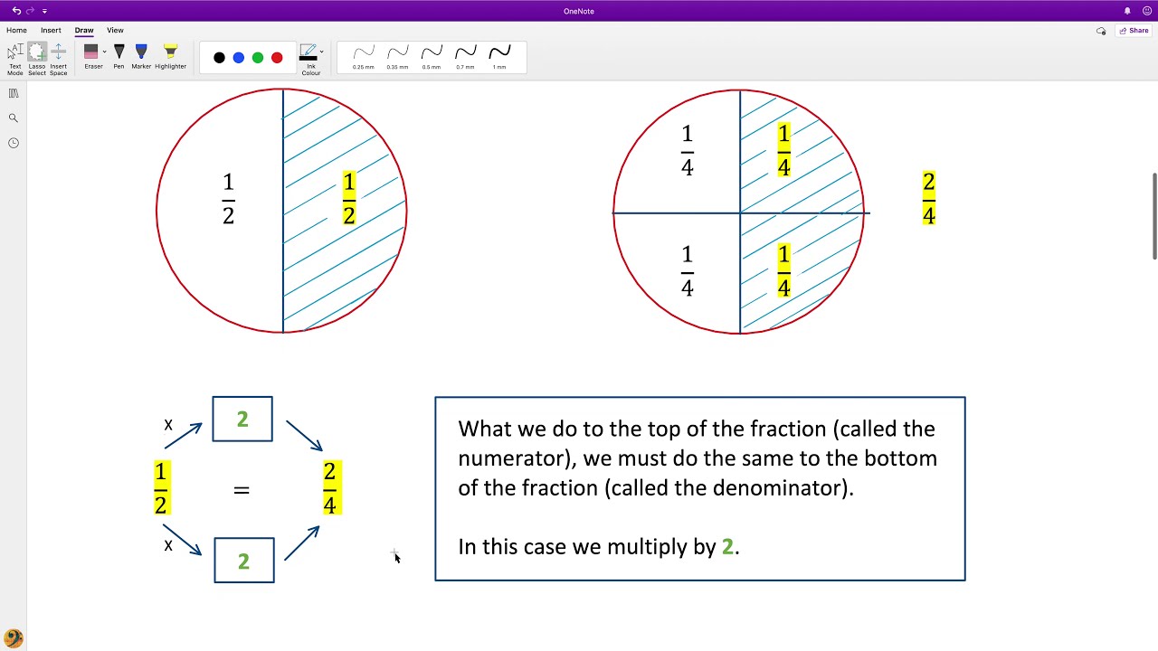 Equivalent Fractions - What are Equivalent fractions and how to work ...