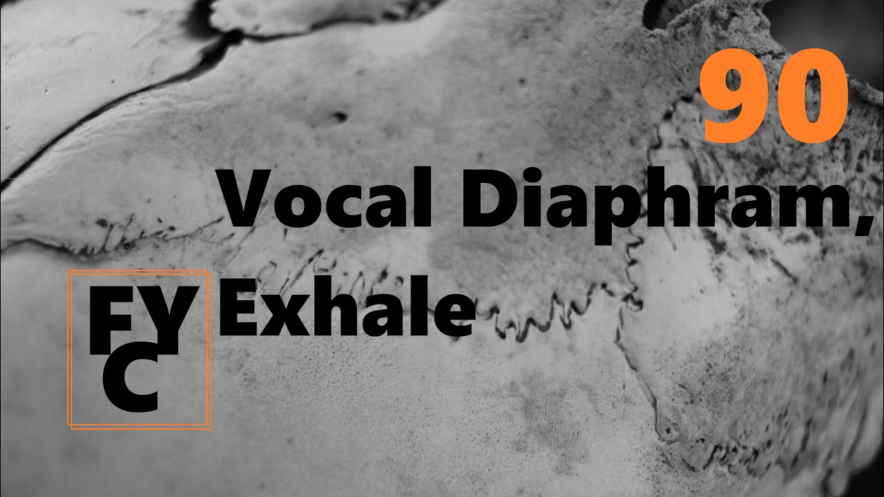 Vocal Diaphram + Exhale // FORREST YOGA CHICAGO [90 min.] - YouTube