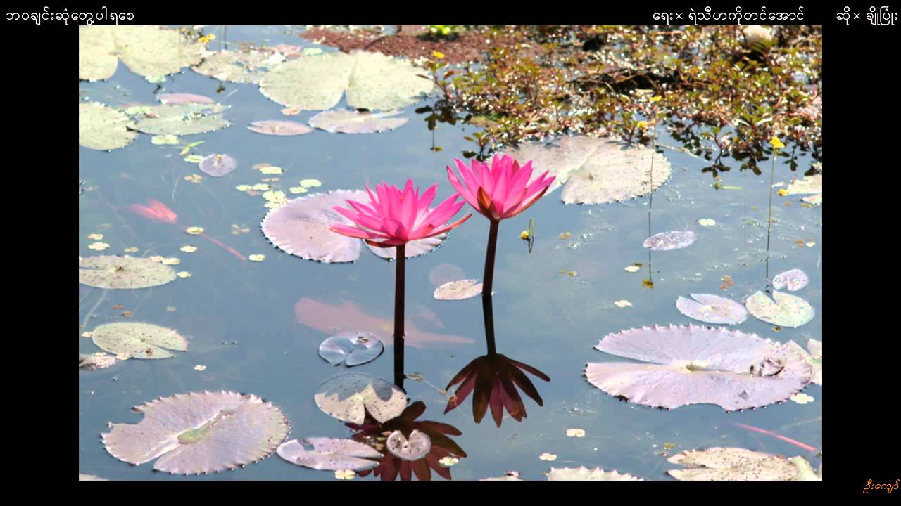 Cho Pyone-'Bawa Chin Sone Tway Par Ya Say' - YouTube