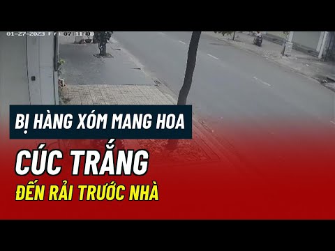 Bị hàng xóm mang hoa cúc trắng đến rải trước nhà