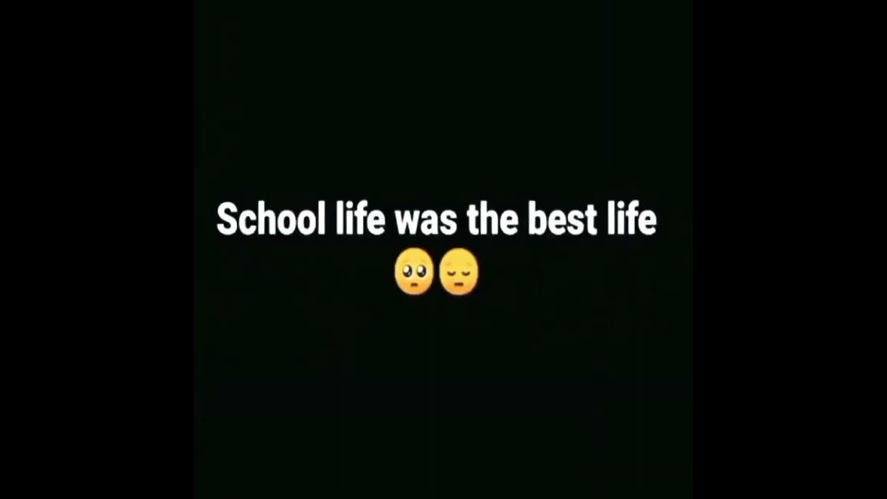 School Life Is The Best Life Wallpapers