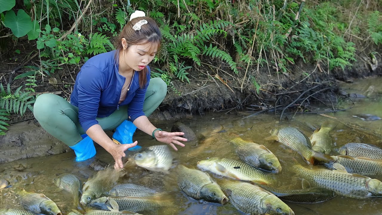 Genius Girl Fishing on Rivers and Lakes, The Amazing Fishing Skills ...
