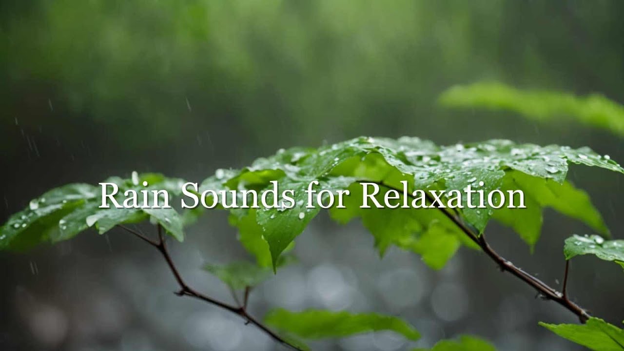Soft Relaxing Music | 1 Hours Soothing Sounds for Stress Relief and ...