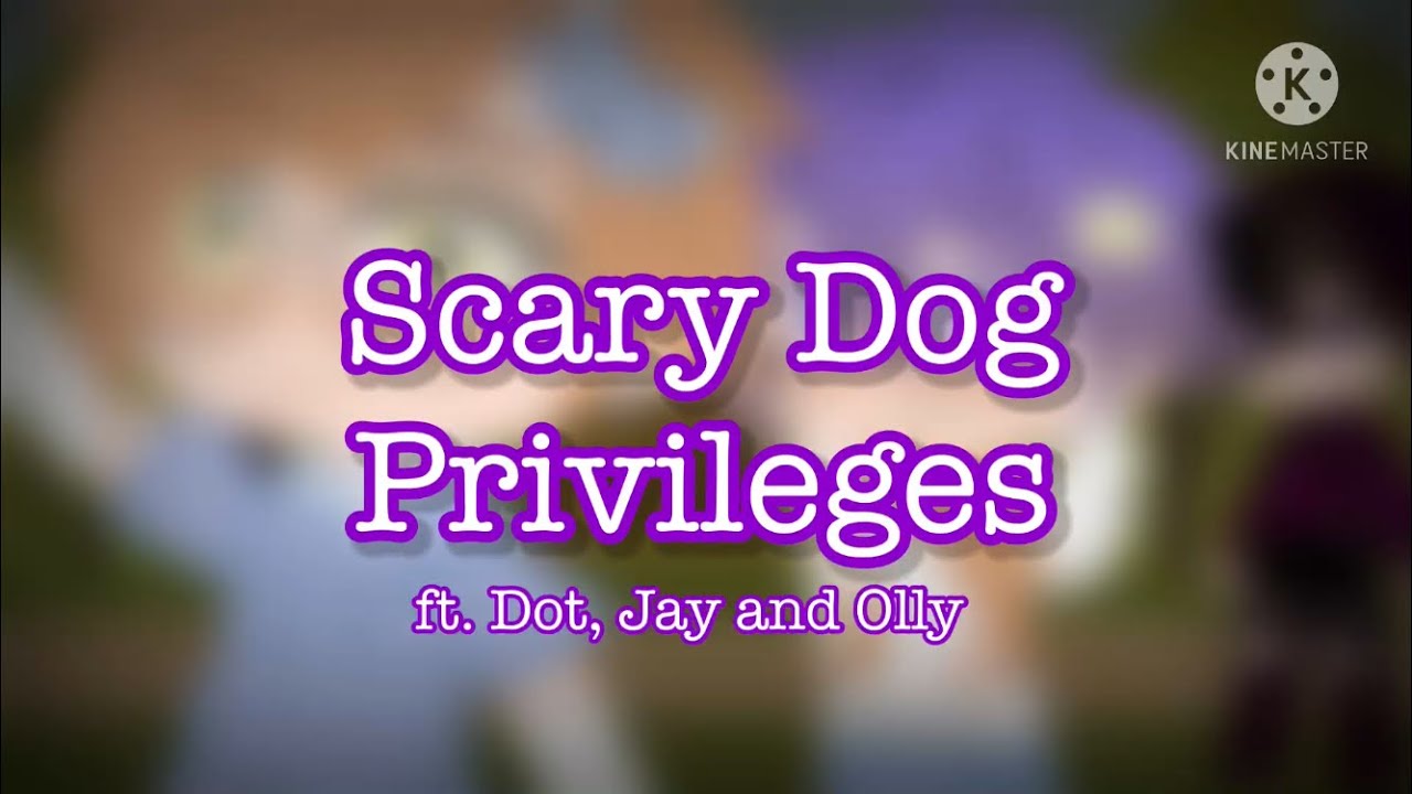 Scary Dog Privileges || ft. Dot, Jay, and Olly - YouTube