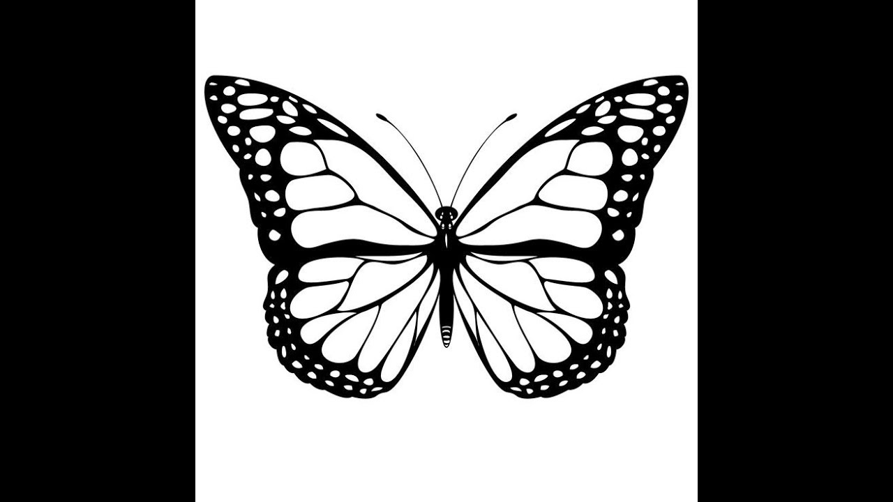 Best Practices: Broken Wing Butterfly Part 3 - YouTube