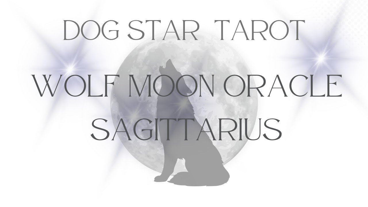 WOLF MOON ORACLE FOR SAGITTARIUS - YouTube