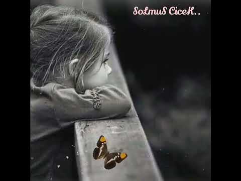 🦋🥀Whatsapp statuslari 2022 Sounds App Qemli Sevgi Statuslari Menali Sevgi videolari 2022