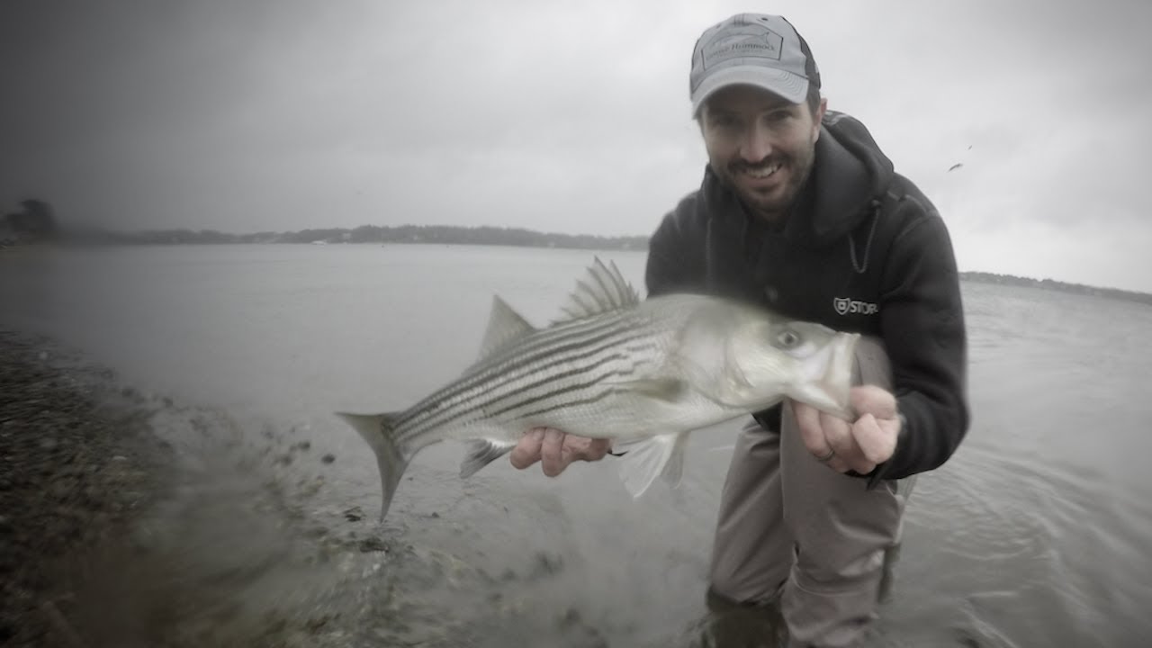 Back Bay Striped Bass Fishing | Peanut Bunker Blitz! - YouTube