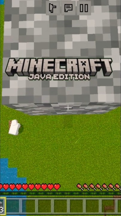 Minecraft java vs Minecraft bedrock #minecraftsurvivalseriesepisode1 ...