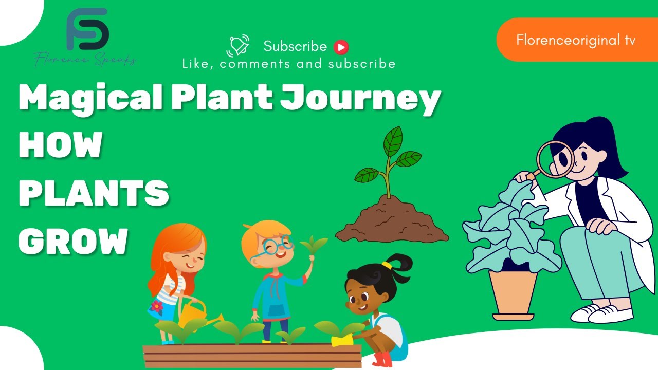 Magical Plant Journey - HOW PLANTS GROW #plantbiology #kidslearning ...