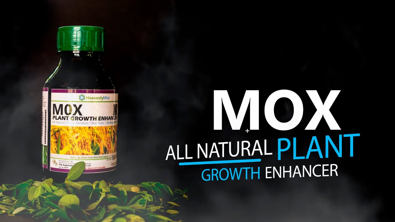 How to Use MOX All Natural| Plant Growth Enhancer - YouTube