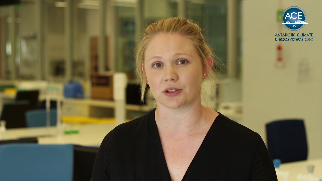 Stacey McCormack: Improving Antarctic ecosystem models - YouTube