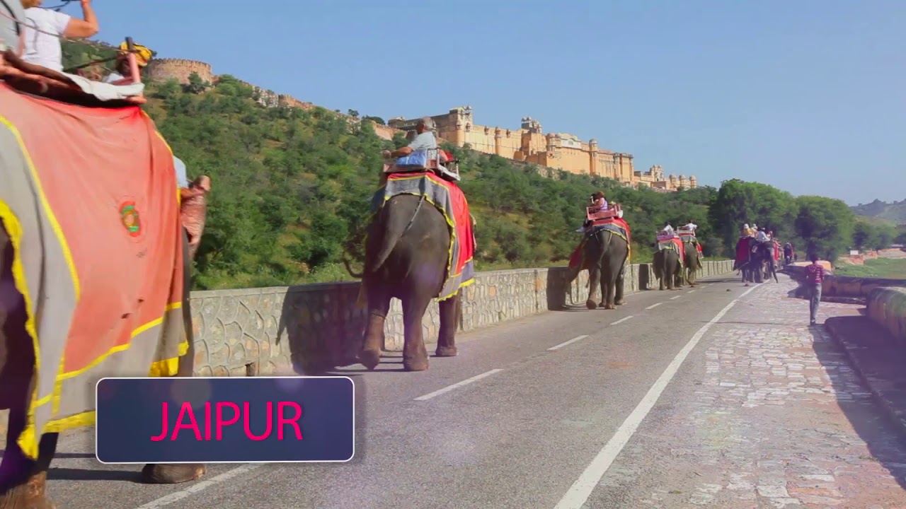 All Link Travel Brampton Ontario 30 maritime Ontario blvd Unit #28 ...