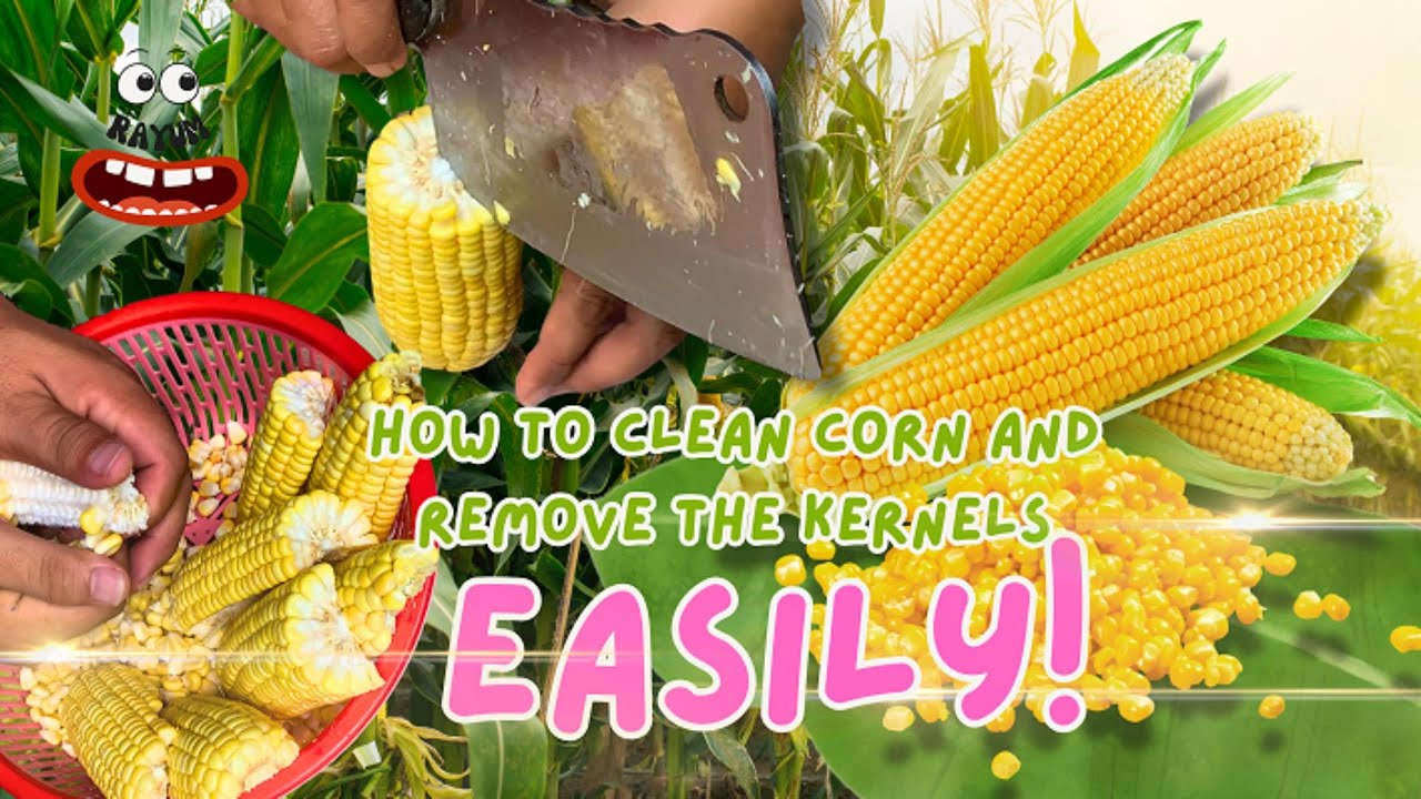 How to Clean Corn and Remove the Kernels Easily! #1002 #diy #foryou # ...