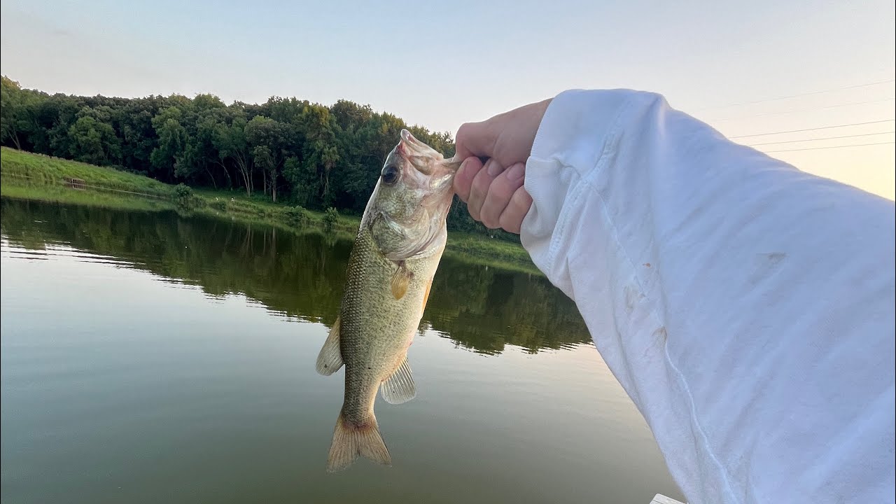 Great bass fishing day at my secret spot! - YouTube