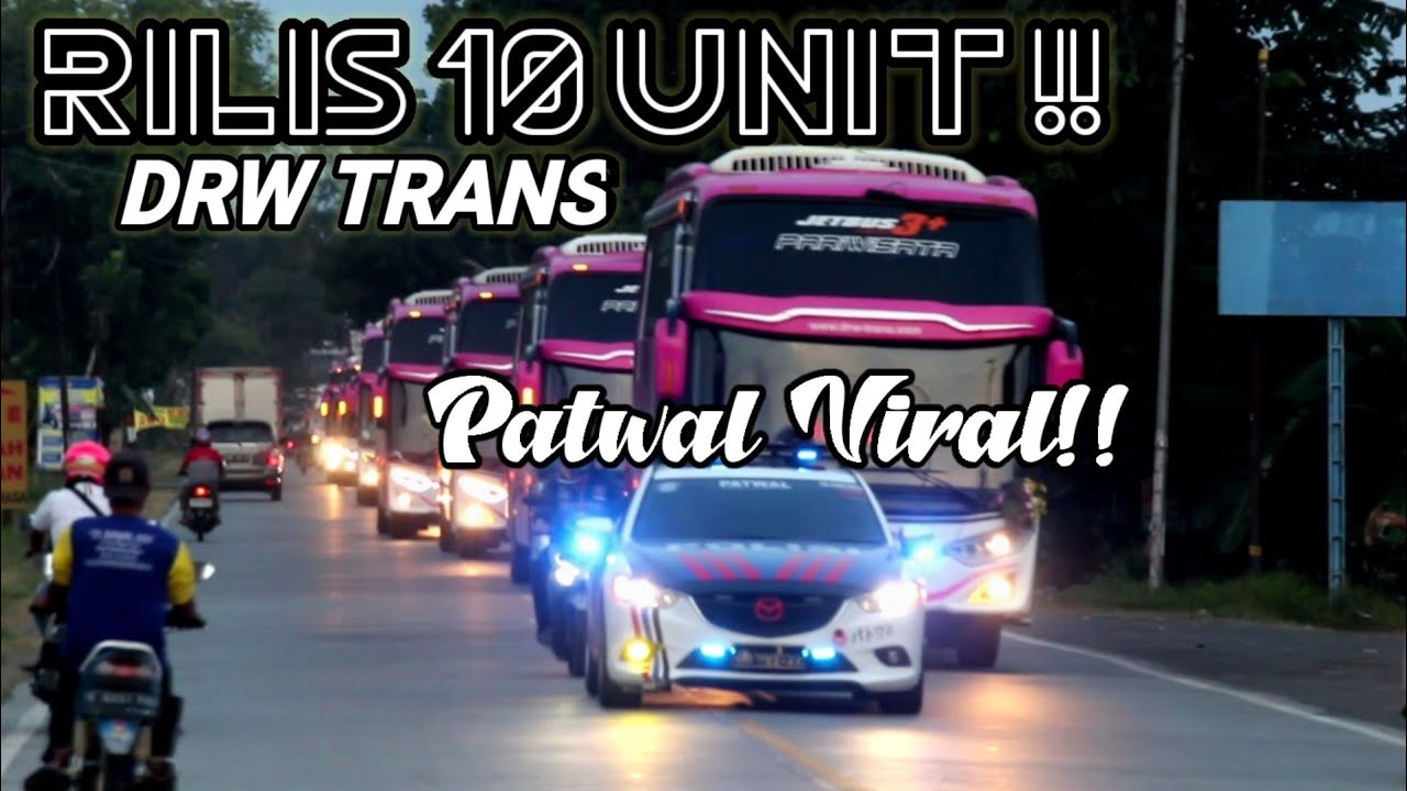 RILISSS!!! 10 UNIT BUS DRW TRANS & PATWAL VIRAL, PATWAL 505 Banyuwangi ...