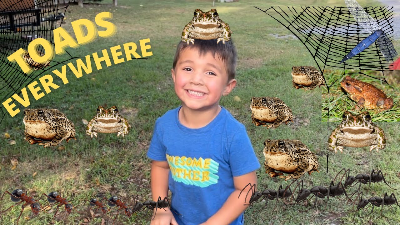 BABY TOADS EVERYWHERE, Toad hunting, Animals and more! - YouTube