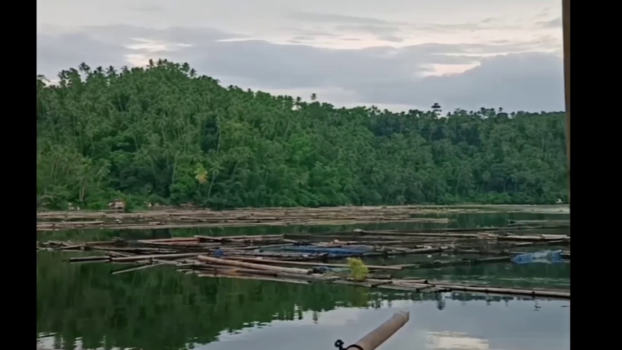 Lake View of Calibato #SevenLakes #Laguna - YouTube