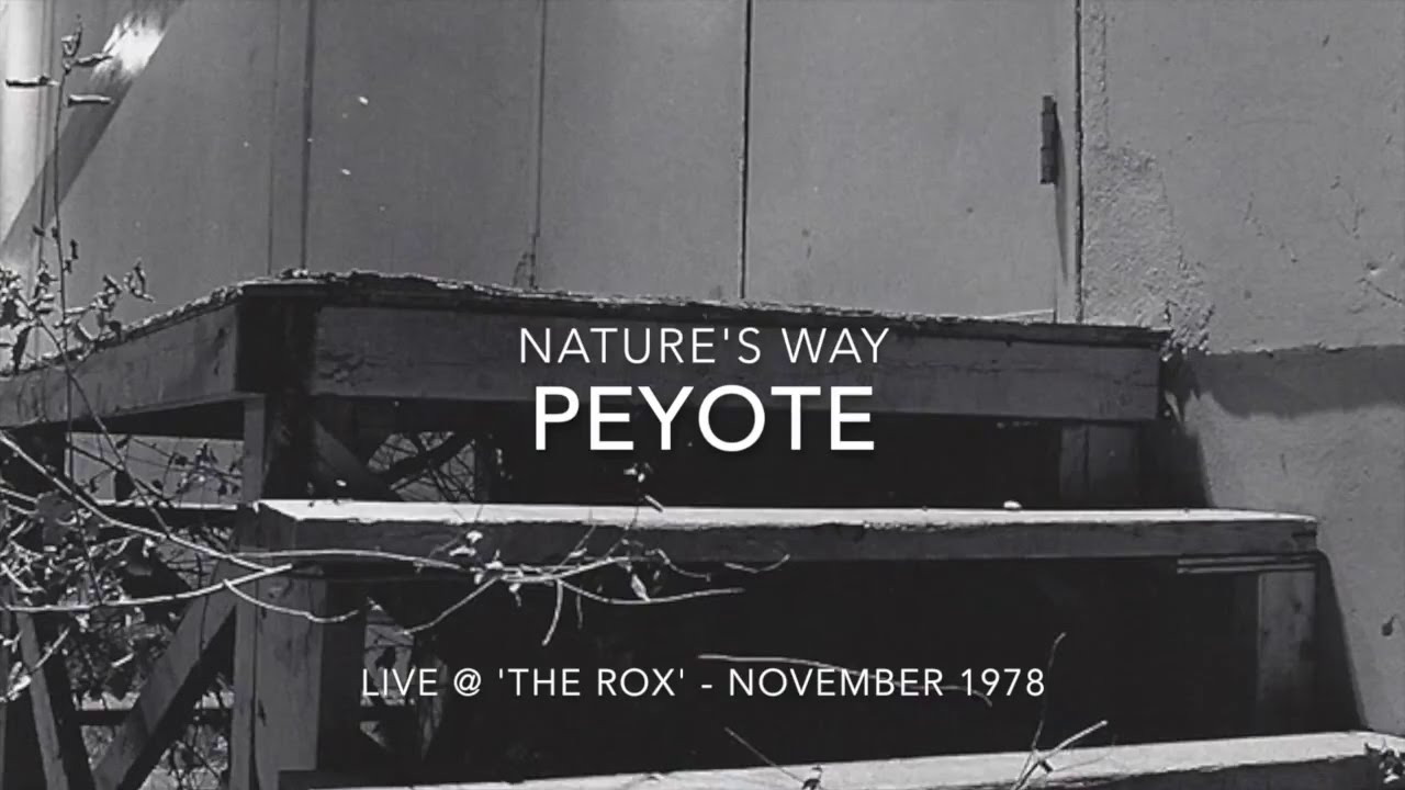 Peyote - Nature's Way - YouTube Music