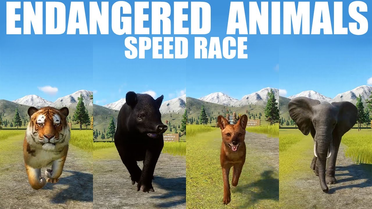 Endangered Animals Races in Planet Zoo included African Elephant, Dhole ...
