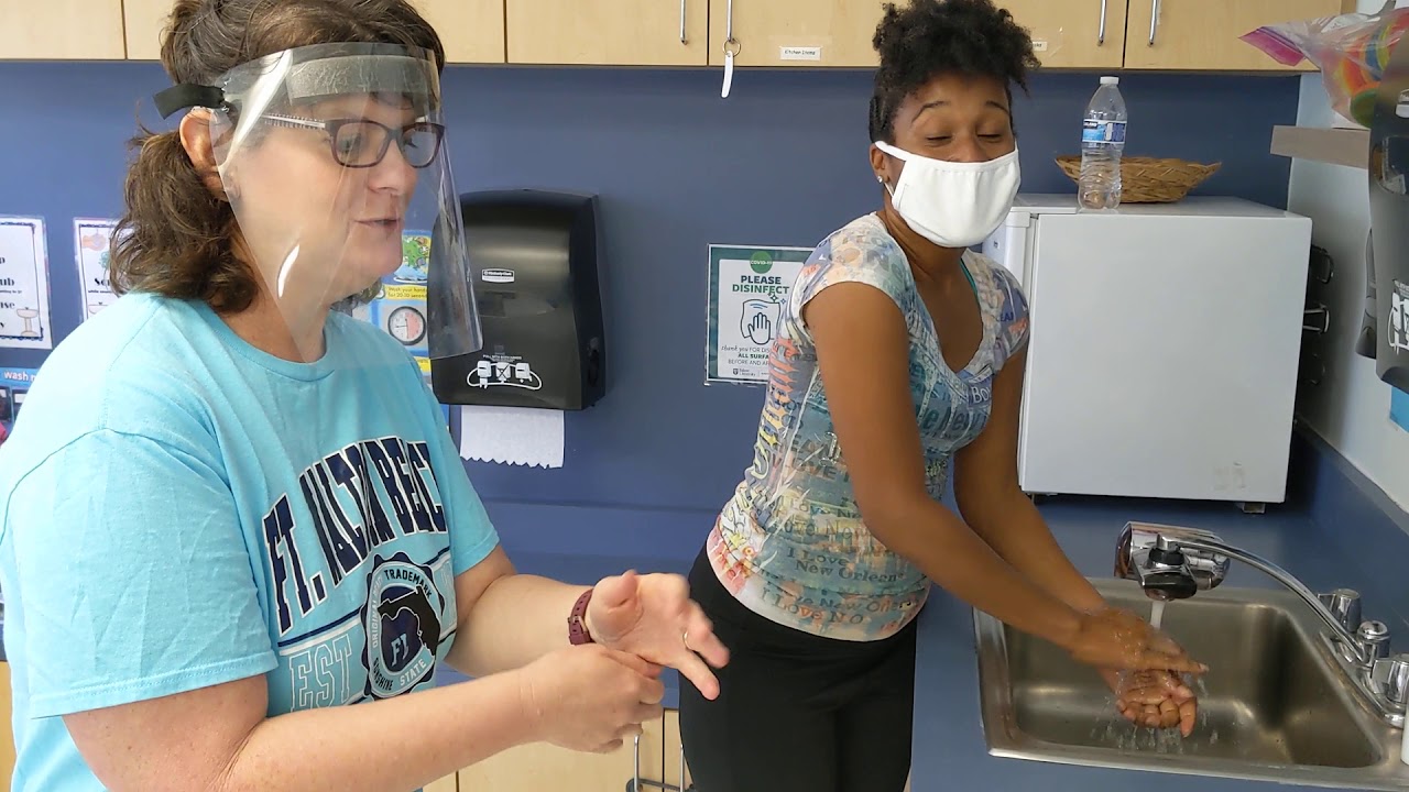 Wash your hands with sign language by Joy and Lisa - YouTube