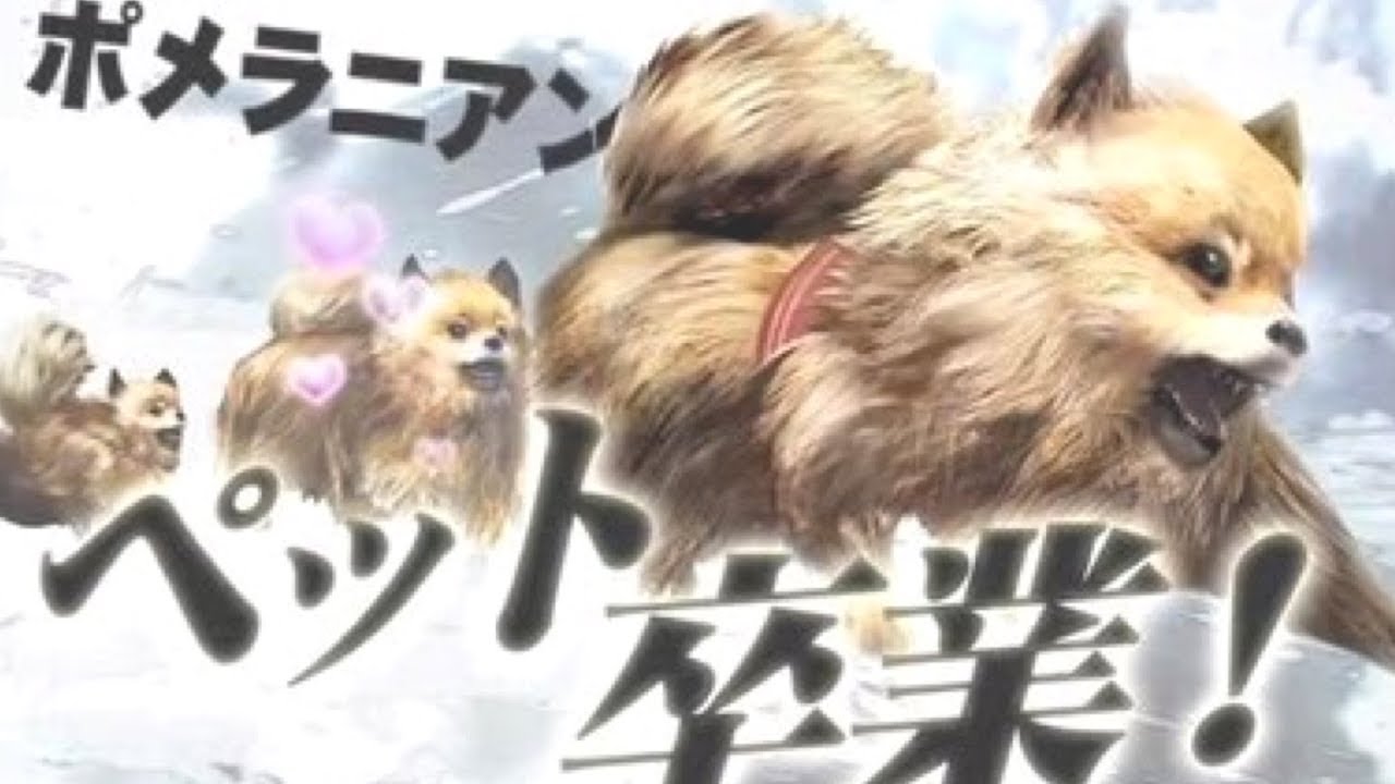 DOG EAT DOG!? WEIRDEST VIDEO GAME EVER CREATED but I Love it - YouTube