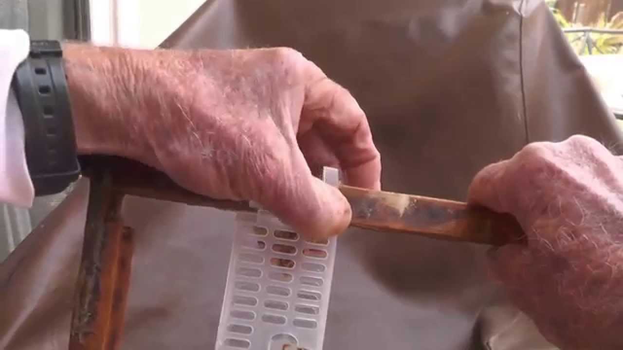 Banking Caged Queen Bees - YouTube