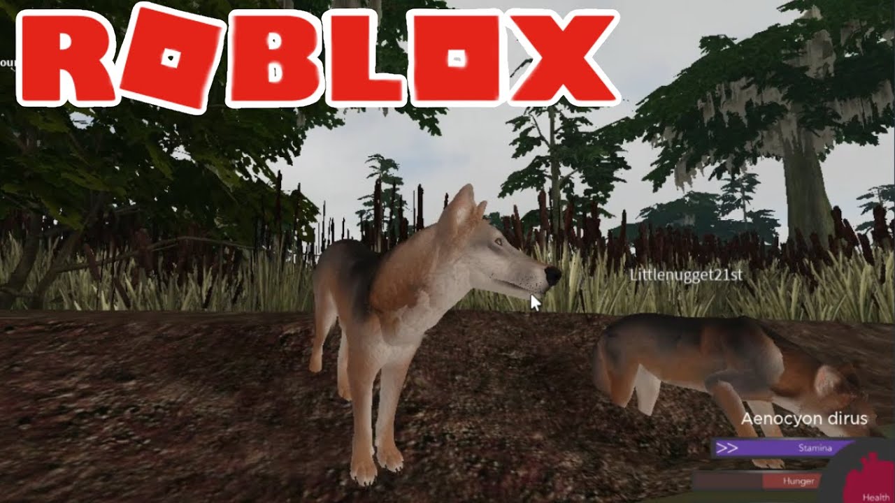 Lobo Salvaje en CENOZOIC SURVIVAL Roblox Gameplay - YouTube