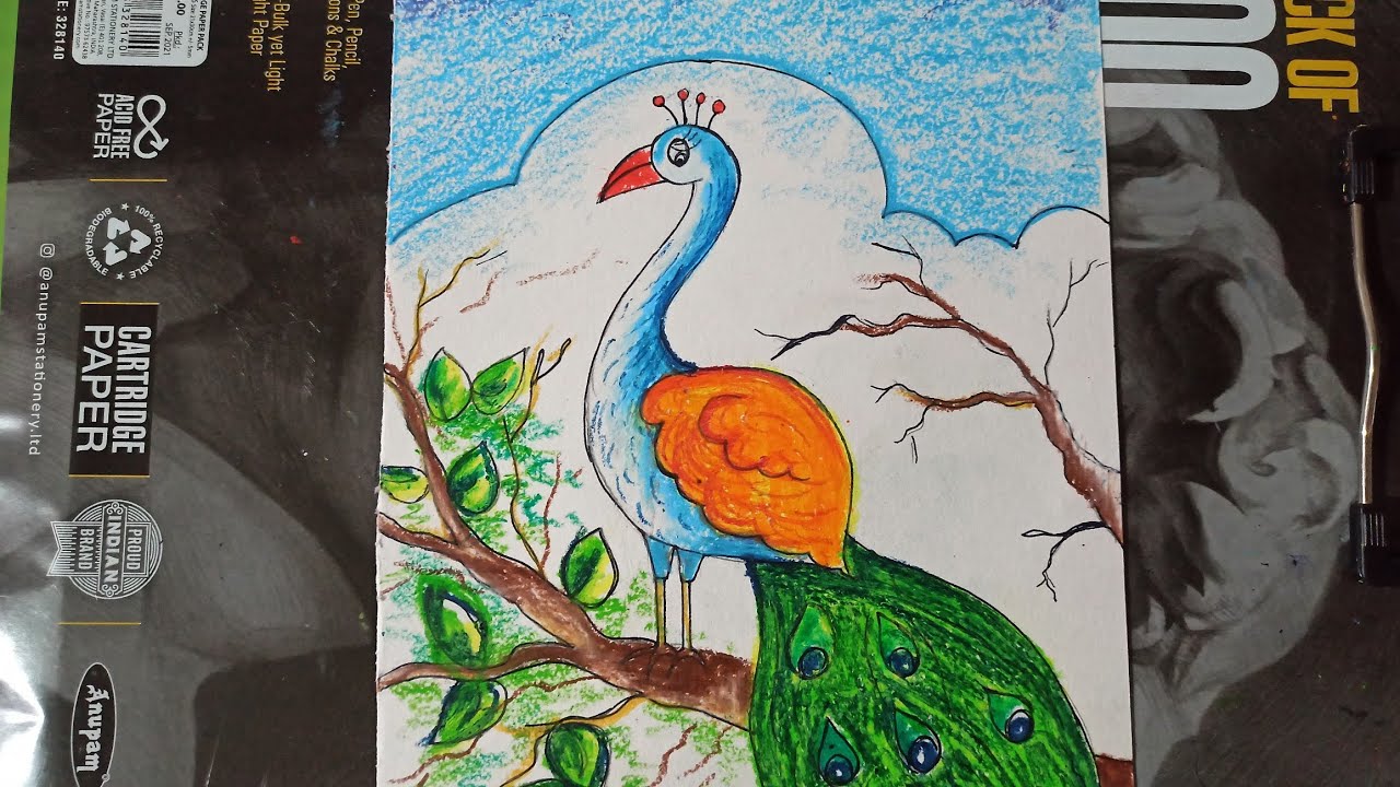 Drawing class 6 || beautiful peacock drawing video || drawing for ...
