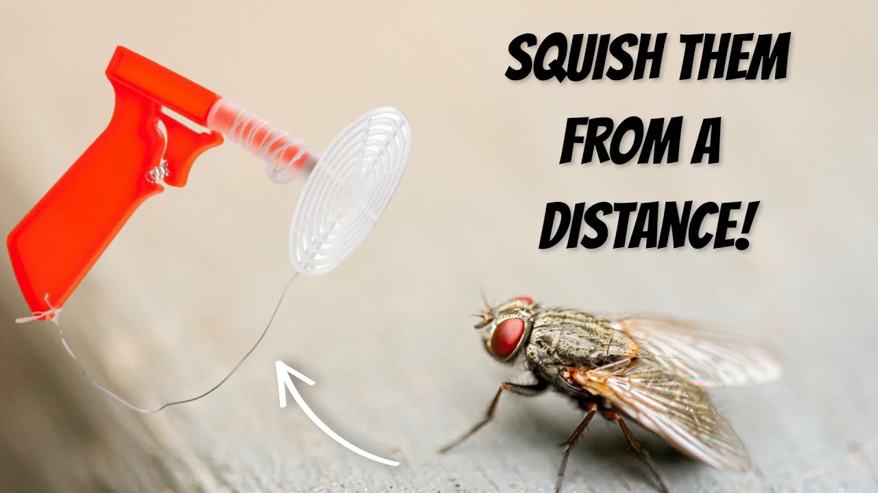 Kill Flies with Your Very Own Fly Assassin Bug Squasher - YouTube